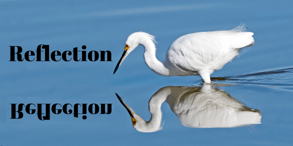 Reflection for Growth – EdTechEASE
